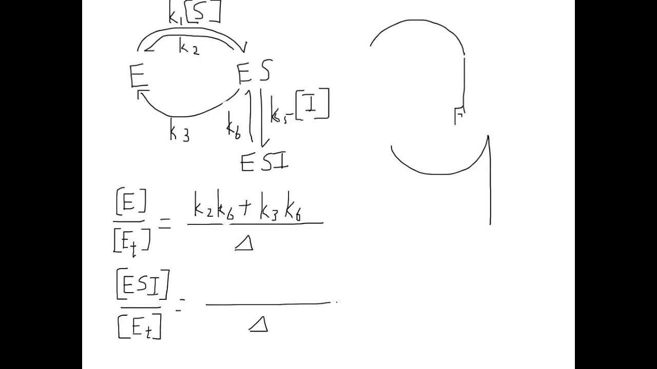 King Altman Method for the Case of Uncompetitive Inhibition - YouTube