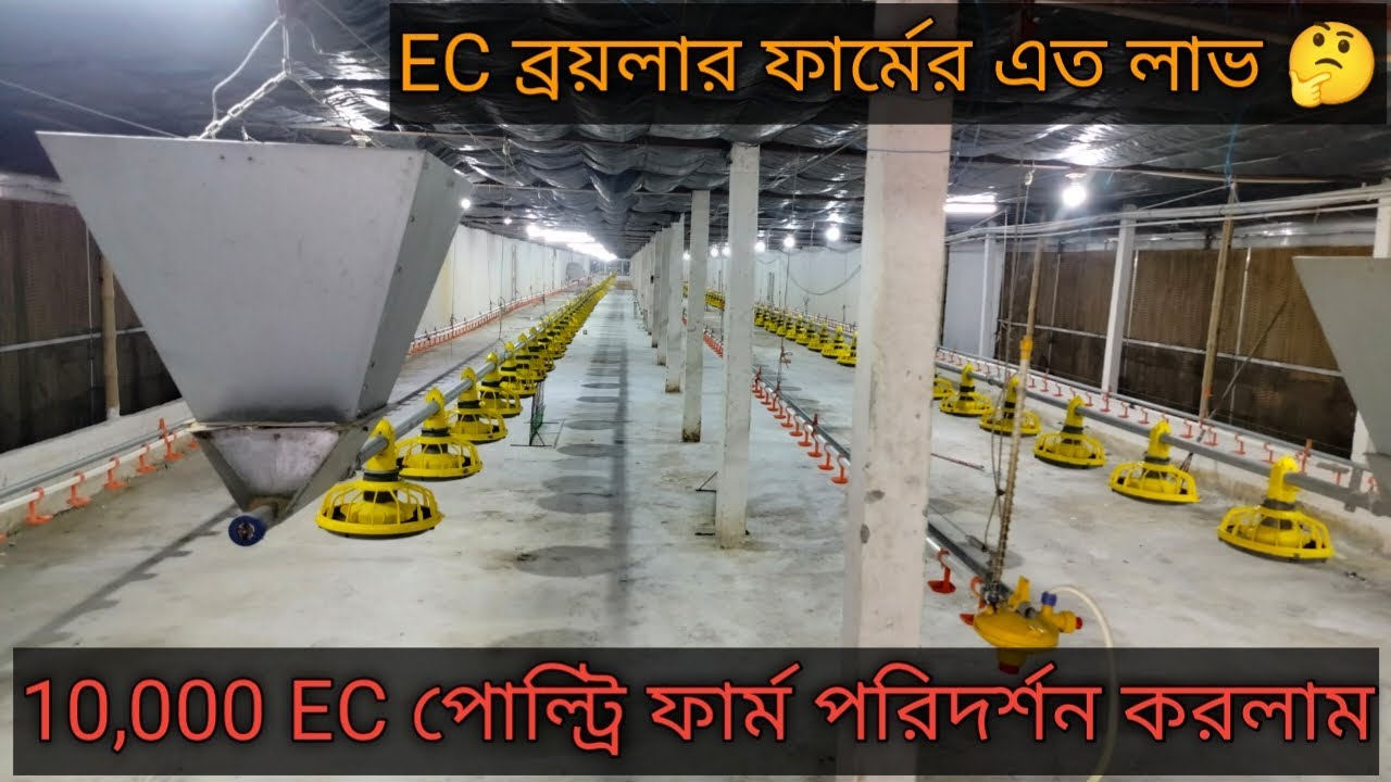 10,000 EC পোল্ট্রি ফার্ম পরিদর্শন করলাম/ 10k EC Poultry farm/ boiler ...