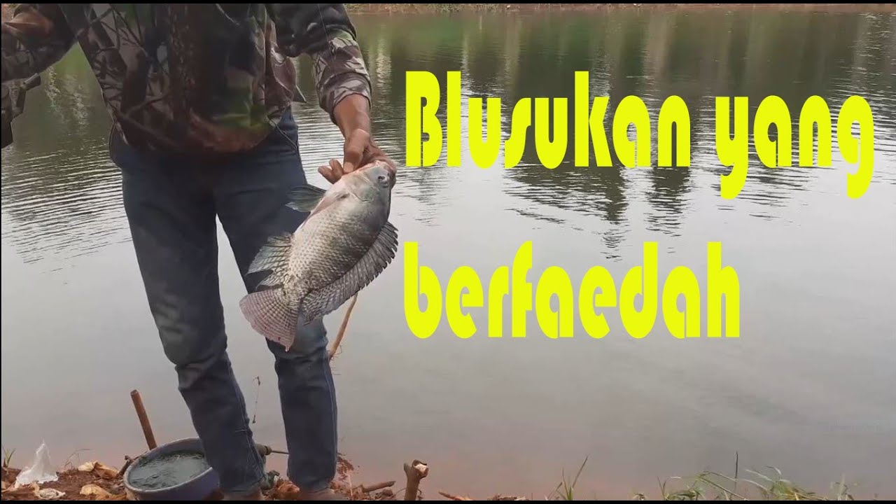 Mancing di setu sawangan,Target ikan Nila bersama juru kunci situ ...