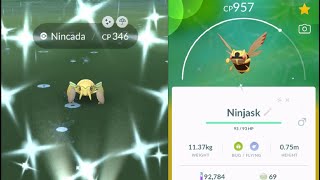 Pokemon Nincada Evolution Chart