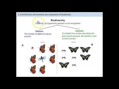 Is Simpsons Reciprocal Index A Good Evaluation Of Biodiversity