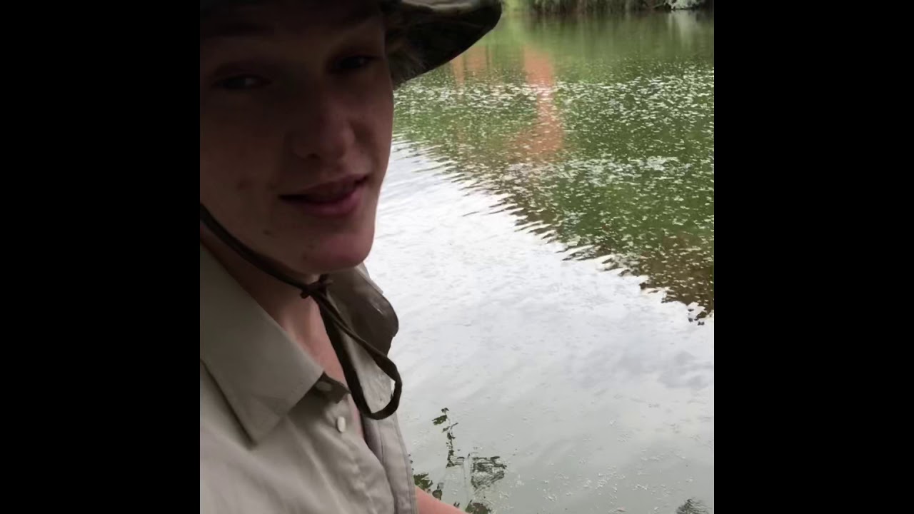 Nature walk math project - YouTube