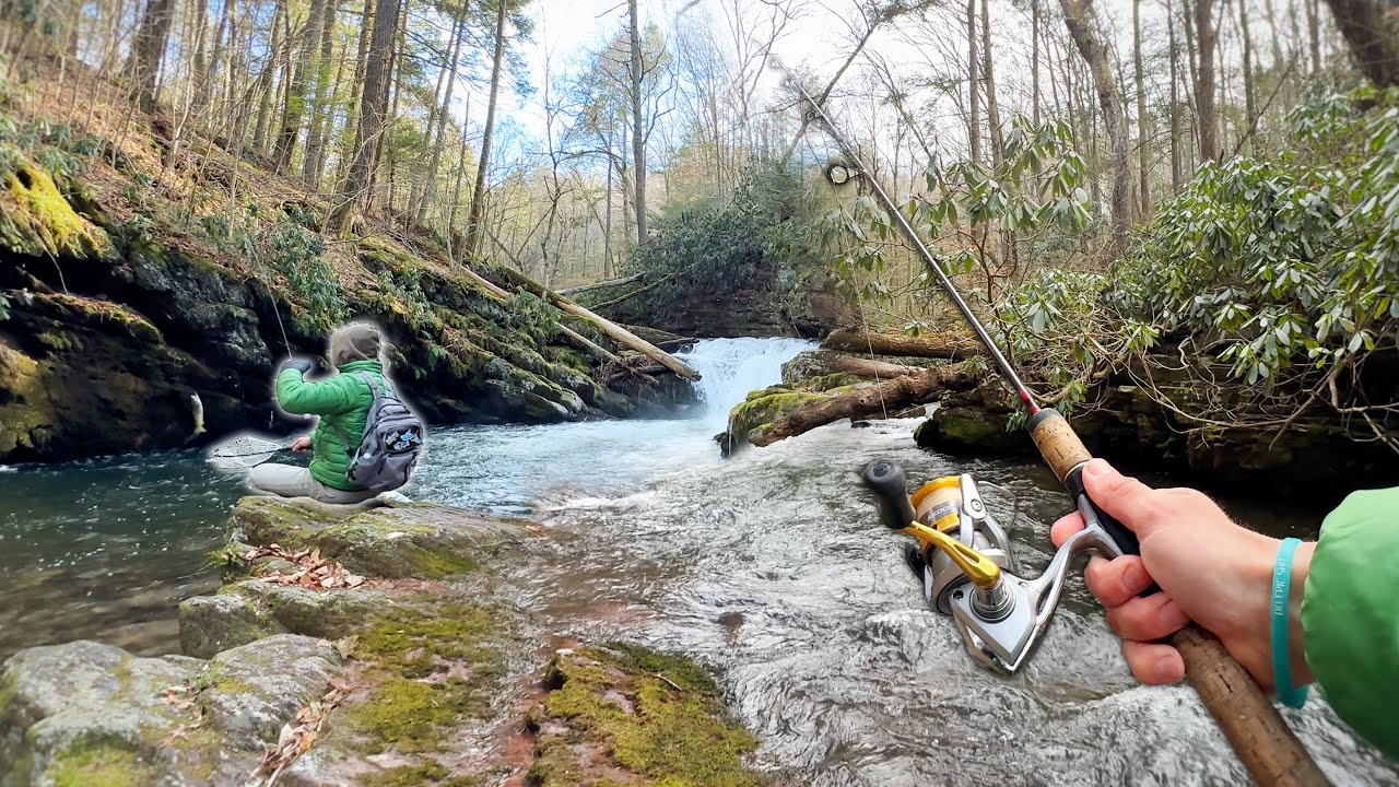 Fishing a REMOTE Mountain Stream for ELUSIVE Fish!!! - YouTube