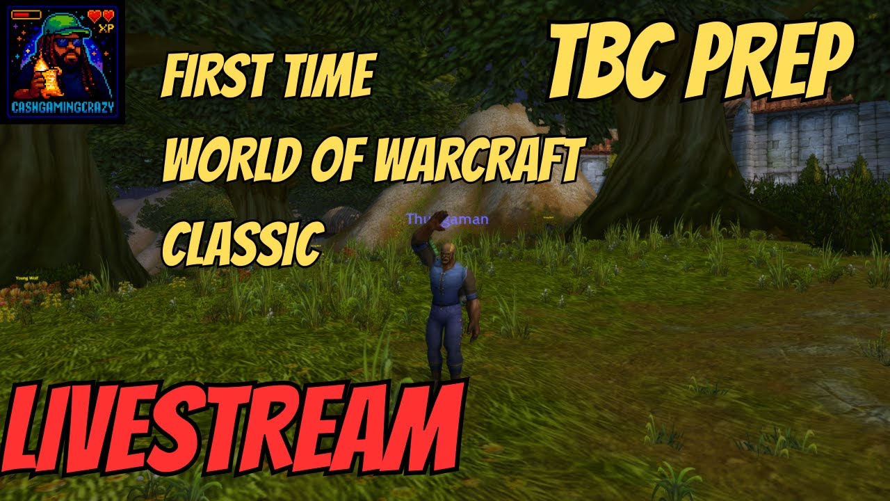 FIRST TIME PLAYING TBC! Westfall activities PALADIN – My Journey Begins ...