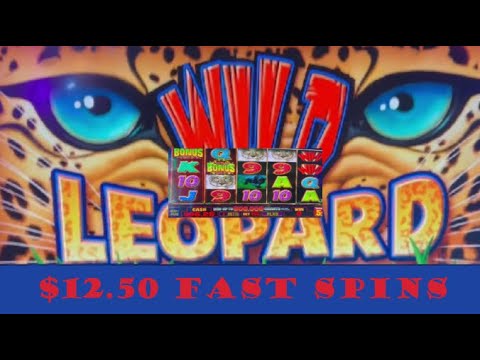Wild Leopard slot machine: $12.50 fast spins bonus or bust - YouTube