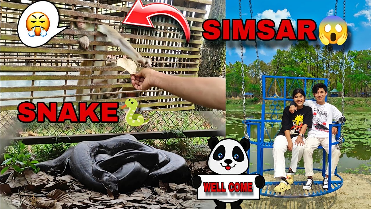 Jamunkhadi Simsar visit ☺️ || Kasto Darlagdo Animals Haru Dekhiyo 😱 ...