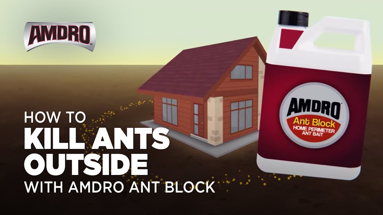 How to Kill Ants Outside with Amdro Ant Block - YouTube