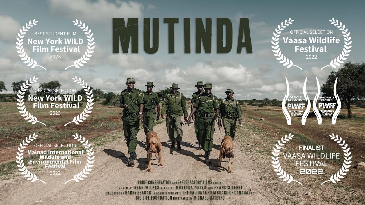 Mutinda | Official Trailer [Short Conservation Documentary] - YouTube