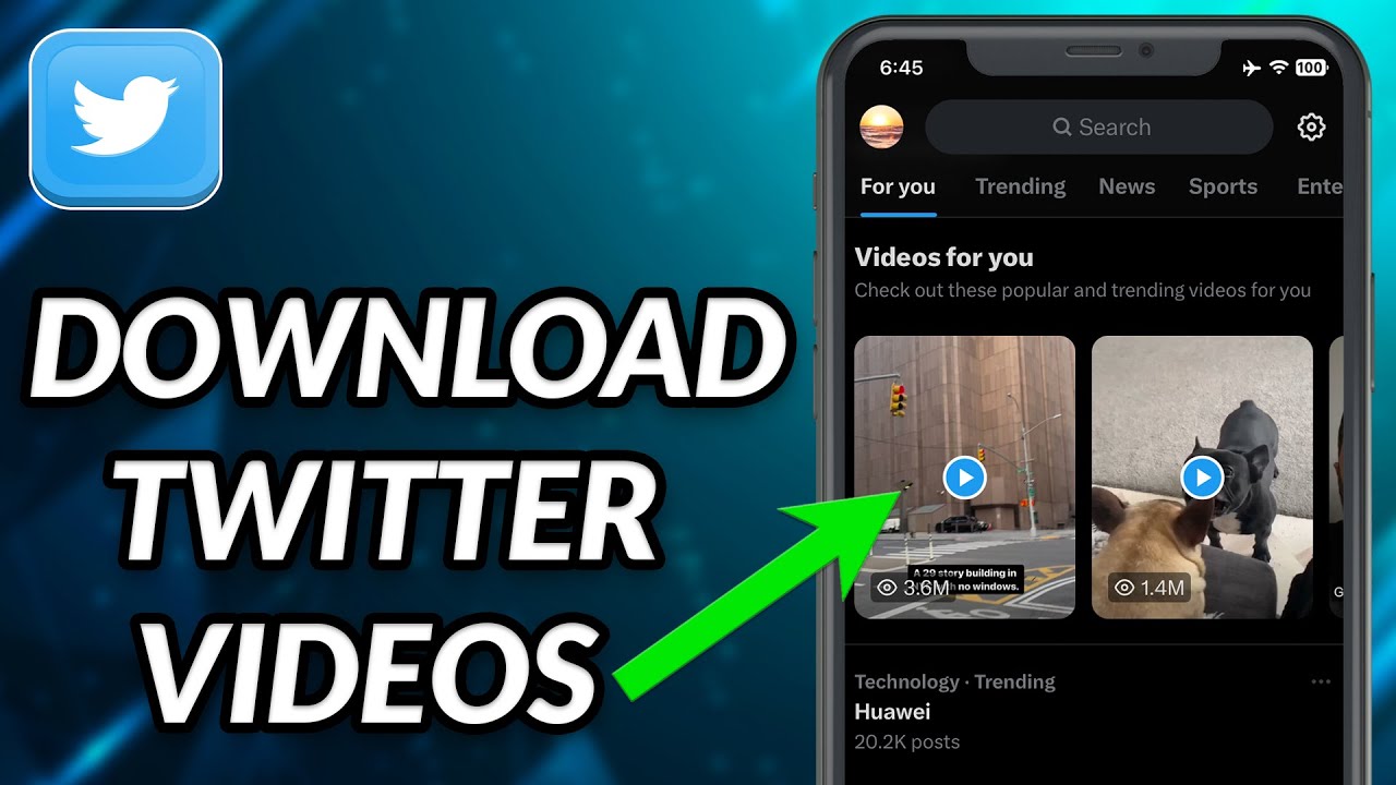 How To Download Twitter Videos To Gallery - YouTube