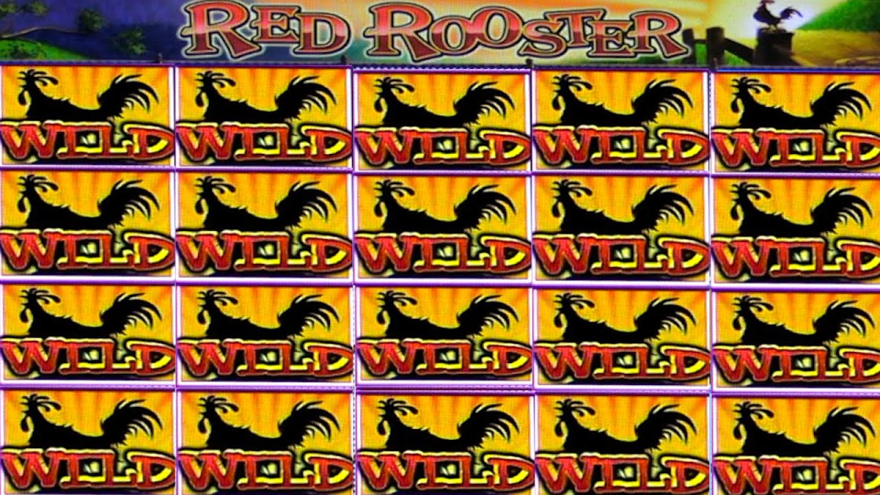 JACKPOT HANDPAY★★$500 BETS★★RED ROOSTER HIGH LIMIT SLOT MACHINE BUENO ...