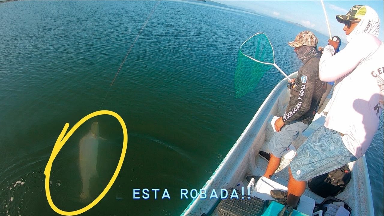 3 INCREIBLES Lugares de PESCA en PANAMÁ que Debes Visitar !! con ...