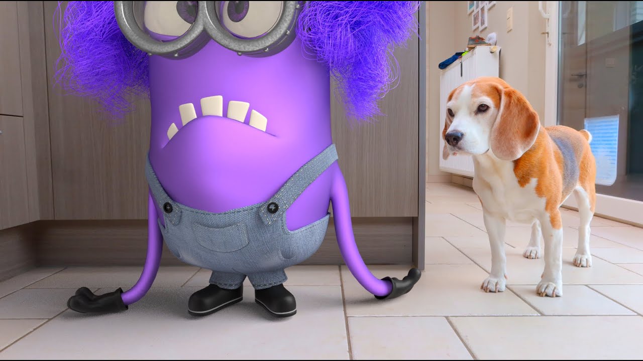 😍🍌 MINIONS IN REAL LIFE COMPILATION 9 🍌😍 - YouTube