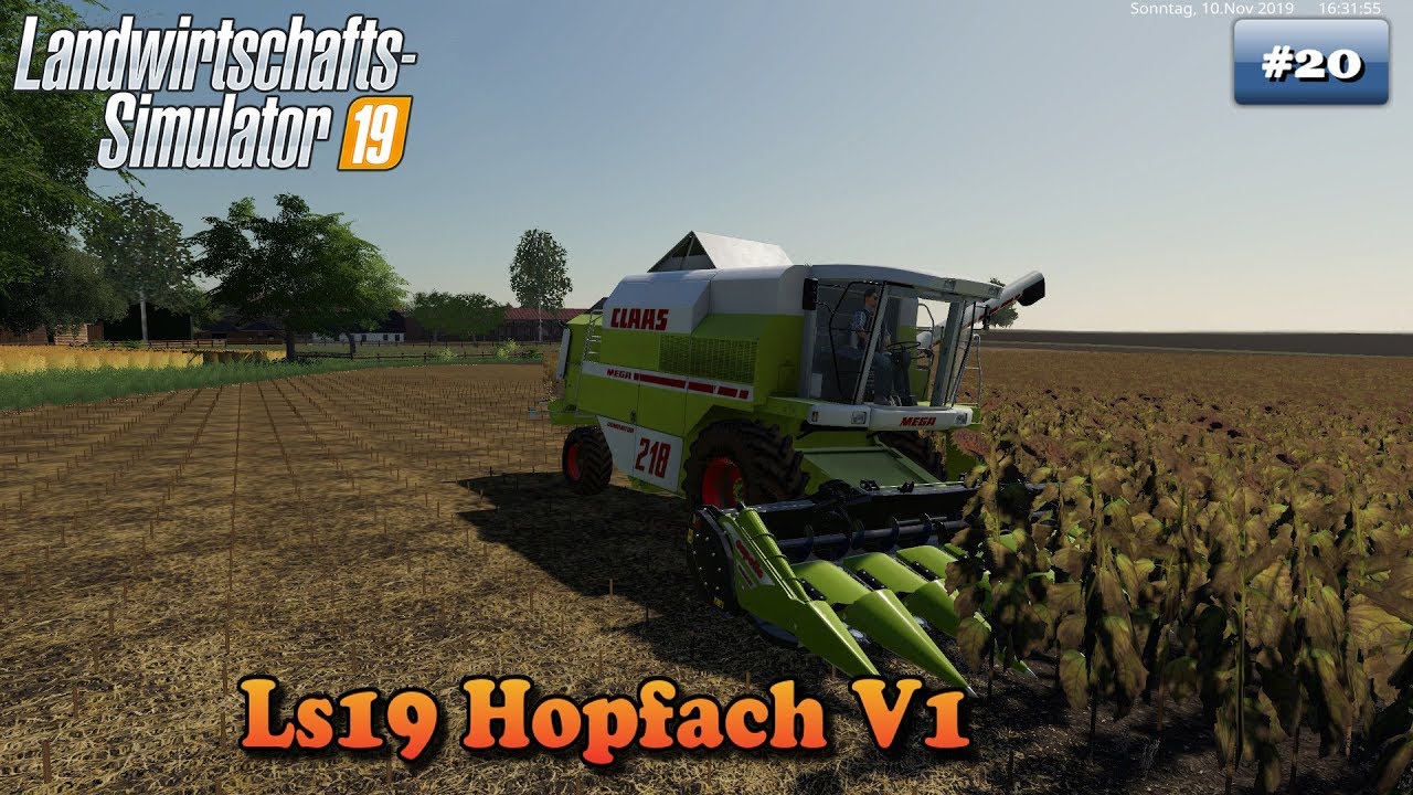 Ls19 Hopfach V1 - #020 - Die Sonnenblumen-Ernte geht los | Fs19 Sp Lets ...