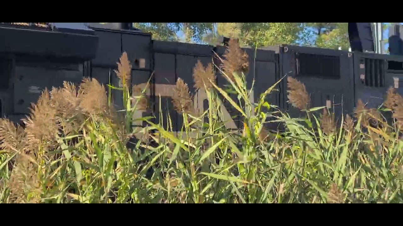 CN 3062 & CN 3181 - YouTube