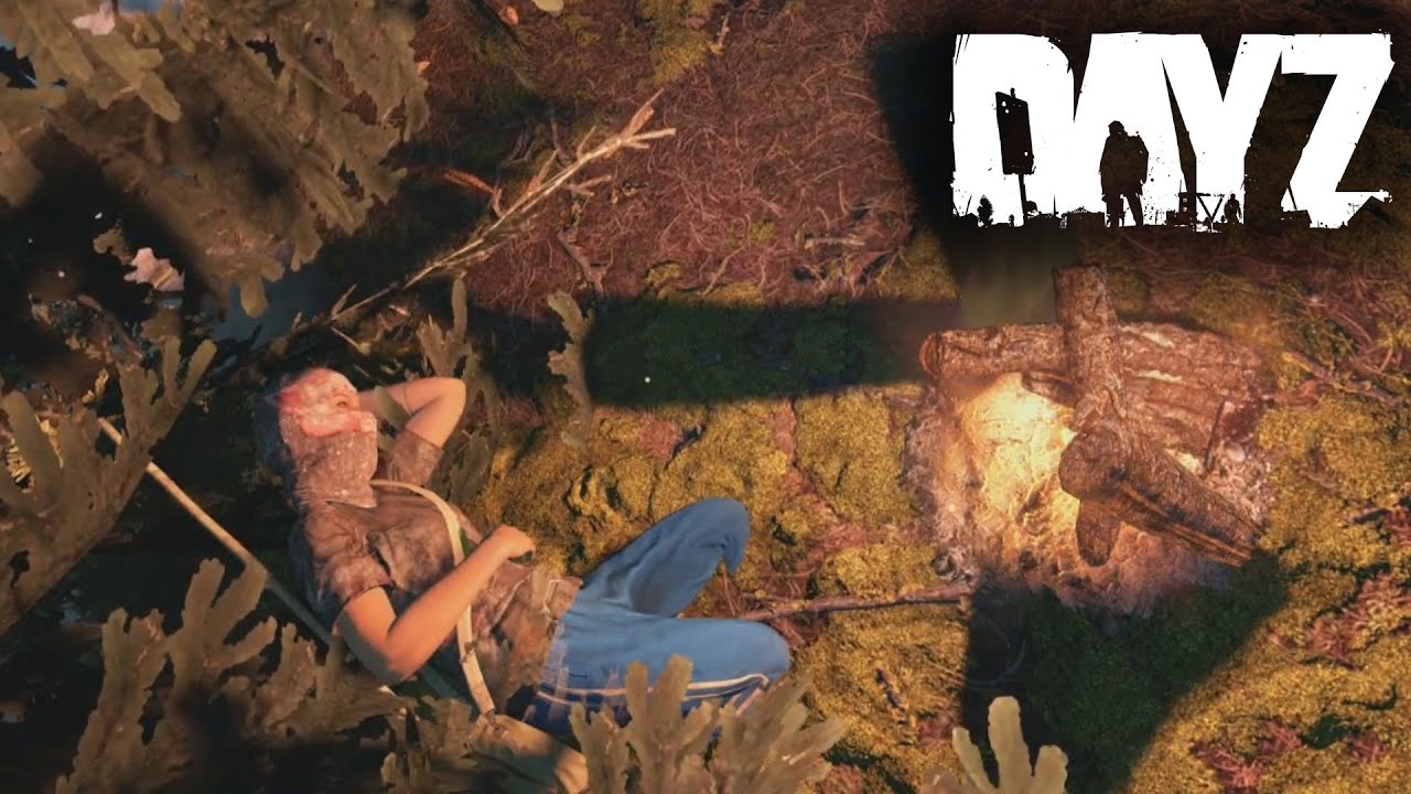 DayZ Frostline, I Waited in a Long Queue to Freeze and Starve - LIVE # ...