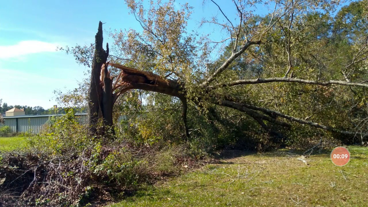 All pictures of derreon/TNT guy - YouTube