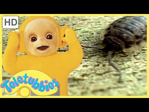 ★ Teletubbies English Episodes ★  Woodlice ★ Full Episode - HD (S08 E201)