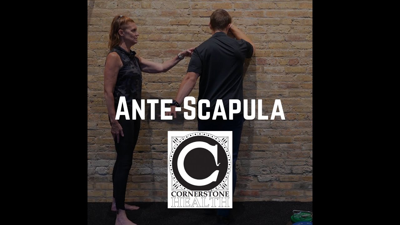 Ante-Scapula: Physical Therapy Shoulder Exercises with Liz and JP ...