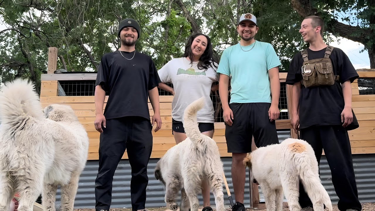 Will Survives Narroway Homestead - YouTube