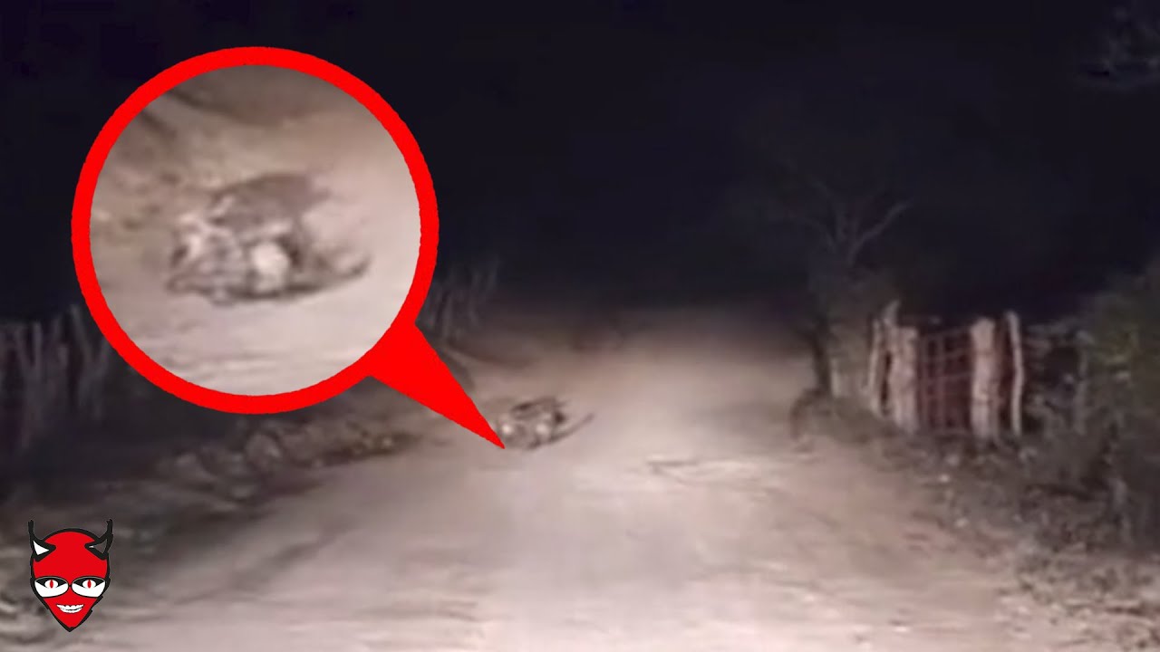 12 SCARY Ghost Videos You Can't Erase from You Chills | Scary Videos ...