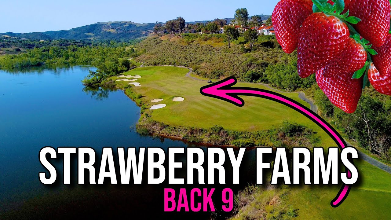 GORGEOUS GOLF by the LAKE @ Strawberry Farms BACK 9 Course Vlog with ...