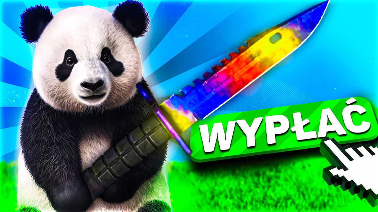 🐼 PANDA DAŁA MI KOSE DO CS2 🗡️🤑 HELLCASE GIVEAWAY 🔥 - YouTube