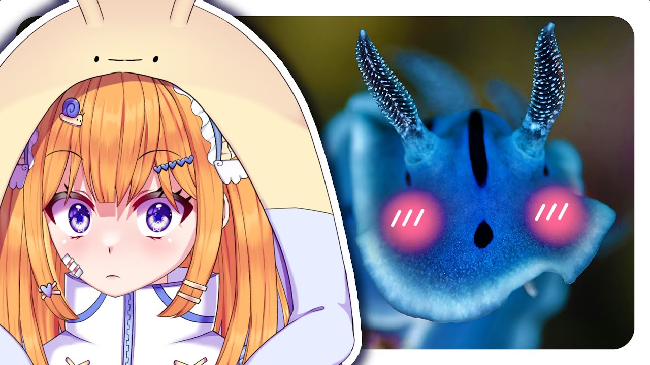 True Facts about NUDIBRACHES! My FREAKY Cousins | Snail Vtuber reacts ...