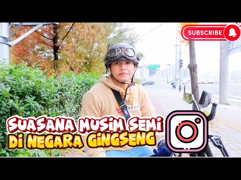 SUASANA MUSIM SEMI Dİ NEGARA GINGSENG/pemandanganya mantul - YouTube
