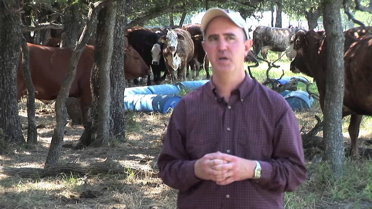 Jason Banta - BQA - Nutritional Stress - YouTube