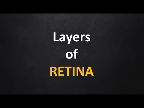 Layers of Retina : My Medical Mnemonics - YouTube