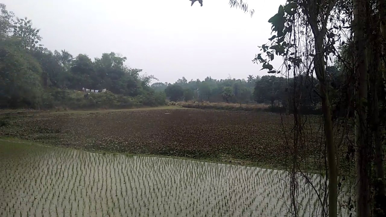 Banglar gram - YouTube
