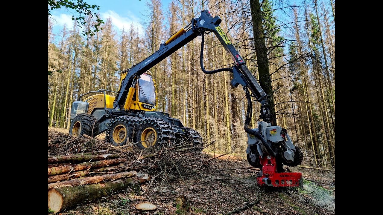 🌲 *THE biggest Wolf in wood* • Ecolog 590F • Logmax 7000C • biggest ...