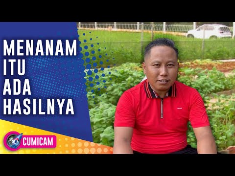 Sempat Viral Narji dan Prilly Latuconsina Sibuk Berkebun, Ternyata Ini Alasannya - Cumicam
