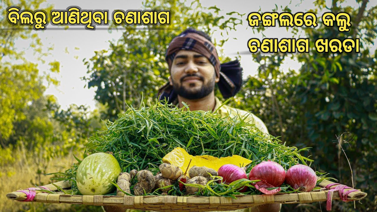 ବିଲରୁ ଆଣିଥିବା ଚଣାଶାଗ ଖରଡା | TRIBAL FOOD OF ODISHA | Chana Saag Cooking ...