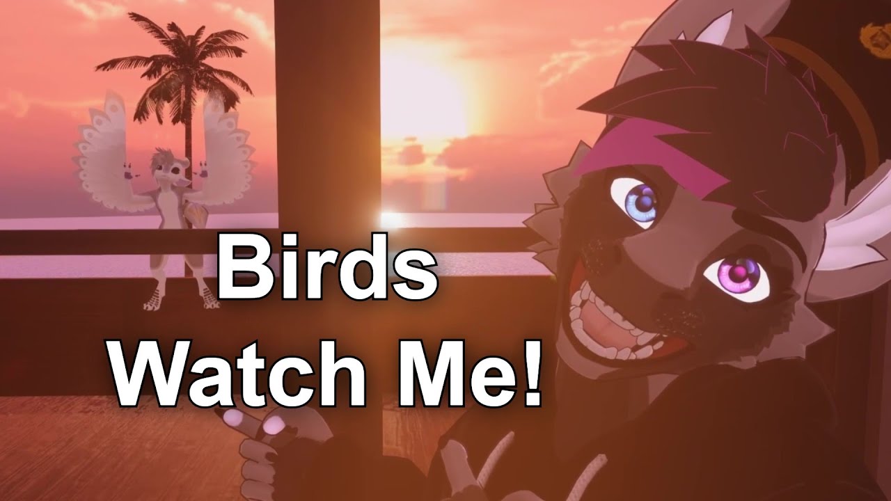 Birds Watch Me! #furry #vrchat - YouTube