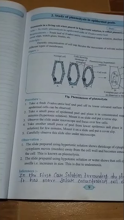 biology practical no.2 with solution - YouTube