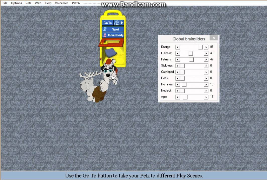 Petz 4 - Learning PetzA - Part 4 - YouTube