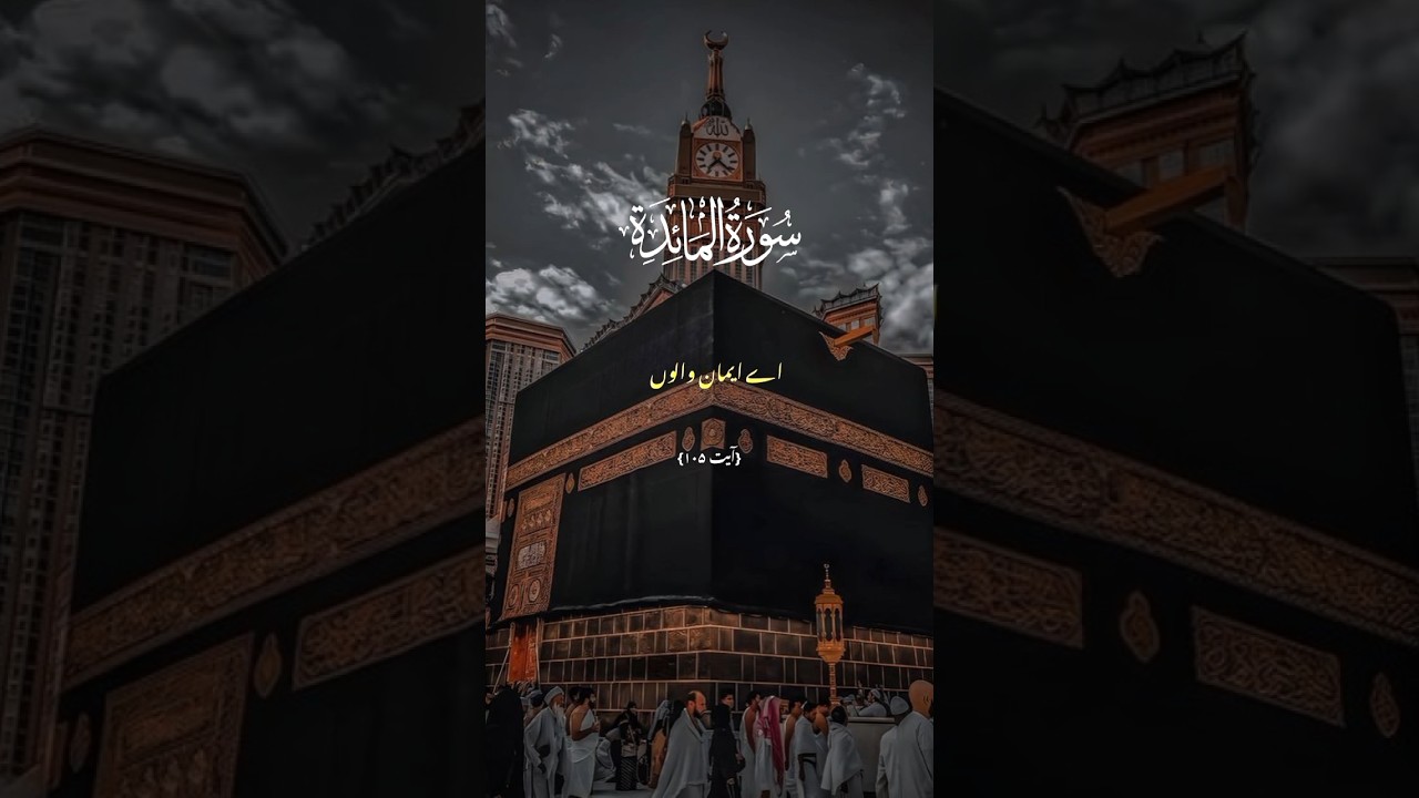 Quran Kareem with Urdu translation 😍🥹 #whatsappstatus #suraan # ...