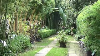 Exotic Bamboo Garden, Perk Bamboo Nursery, Beesd, the Netherlands
