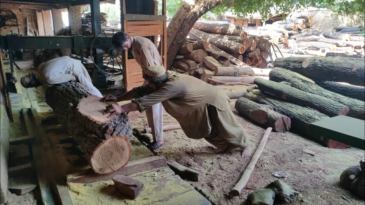 Big Log Cutting into Slanbs |Thoughest Wood Cutting Work | Sawmill ...