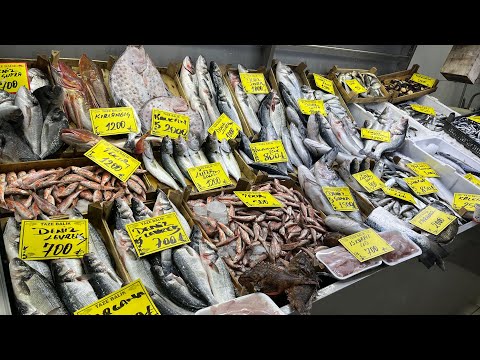 11.01.2026 Günlük taze balık Çeşitlerimiz Gelmiştir..🦑🔥🐟🧿🎣