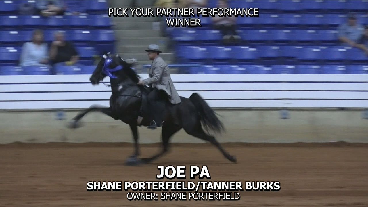 JOE PA 2024 SPRING FUN SHOW - YouTube