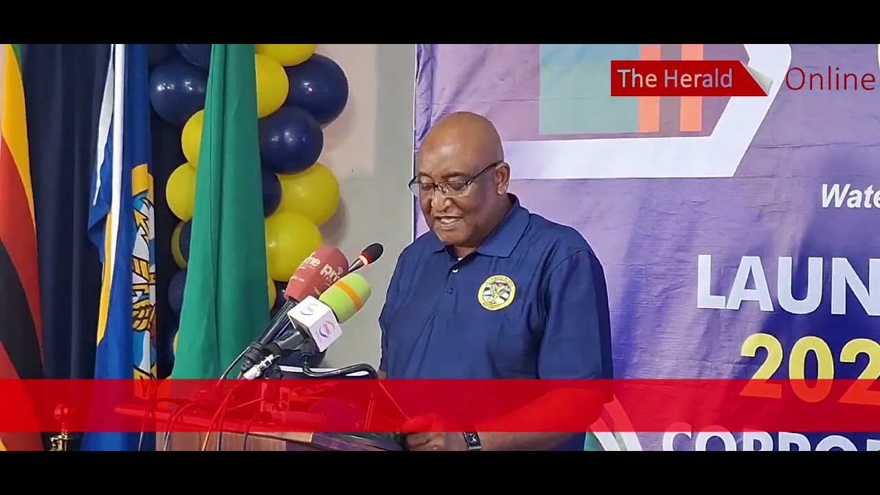 ZRA CEO Engineer Munyaradzi Munodawafa speaks on the authority's 2025 ...