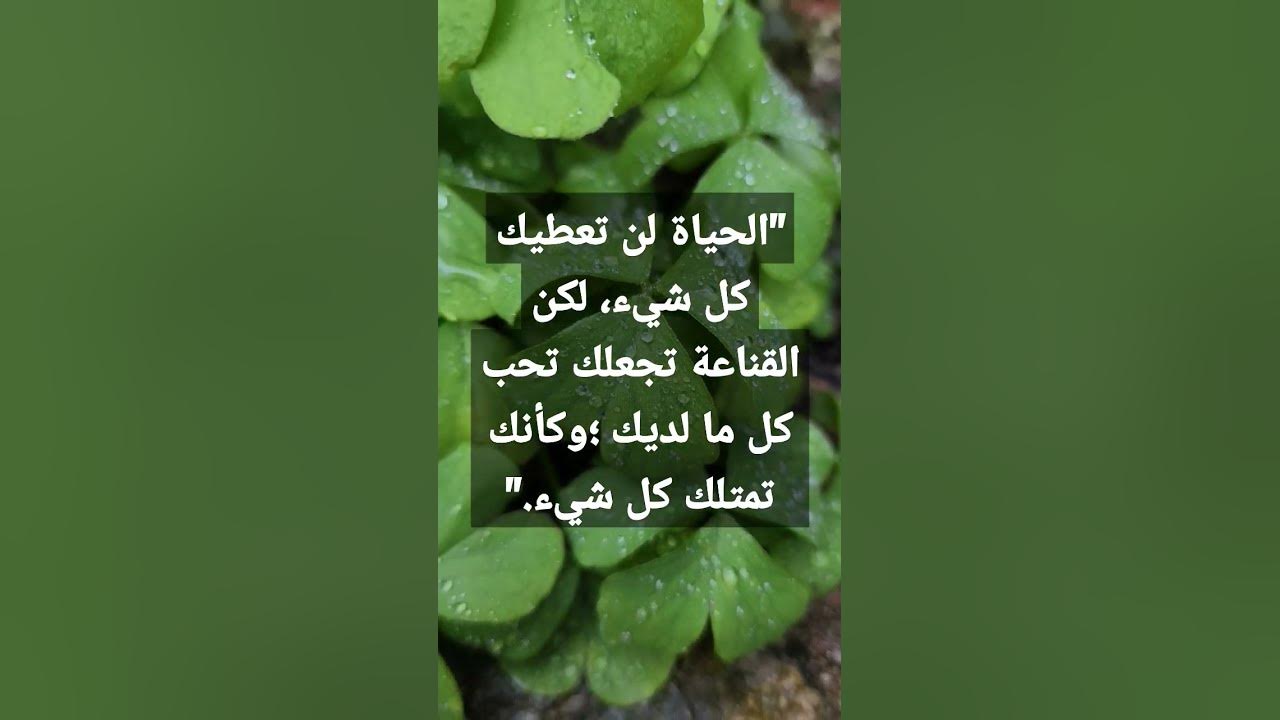 الحياة لن تعطيك كل شيء، لكن القناعة تجعلك تحب كل ما لديك ؛وكأنك تمتلك كل شيء Youtube