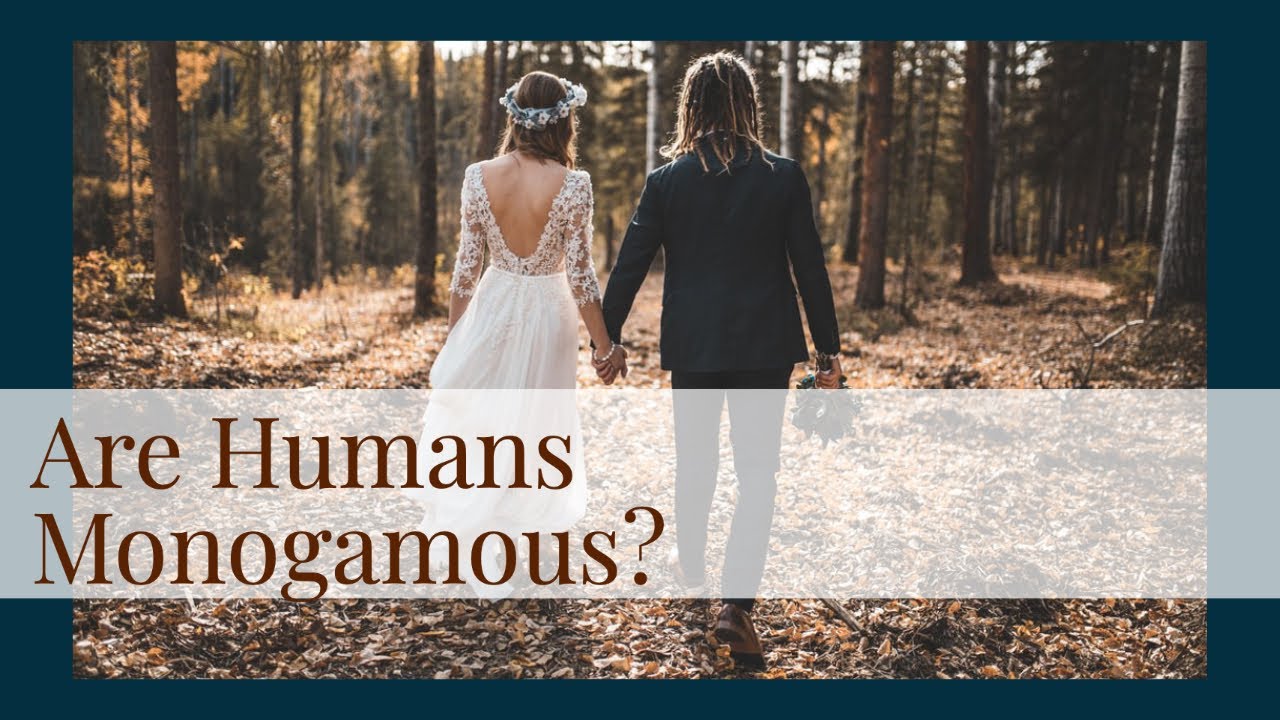 Are Humans Monogamous? (2020 Rerun) - YouTube