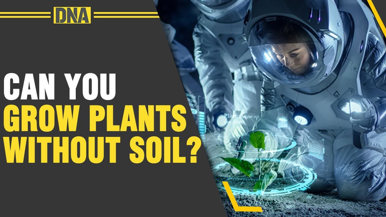 NASA Astronauts to Grow Plants Without Soil in Space, know How - YouTube