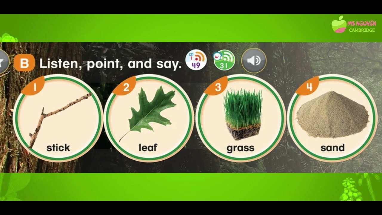 Everybody Up 4 Unit 3 Lesson 4 - YouTube
