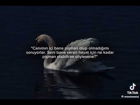 varlıgım sen varsan yaşamaya değer sen yoksan ölüm bile hediye gökyüzünde bulusuyorum seninle🙃