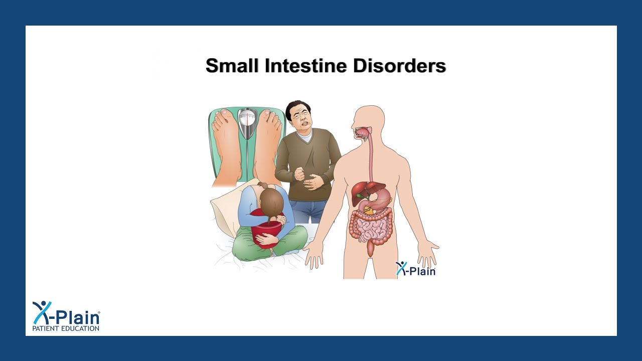 Small Intestine Disorders - YouTube