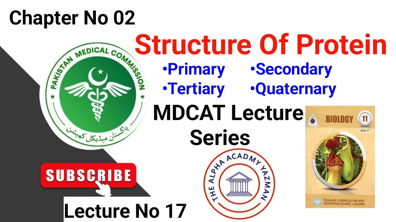 Structure Of Protein Biochemistry Class 11 MDCAT By Sir-20 ...